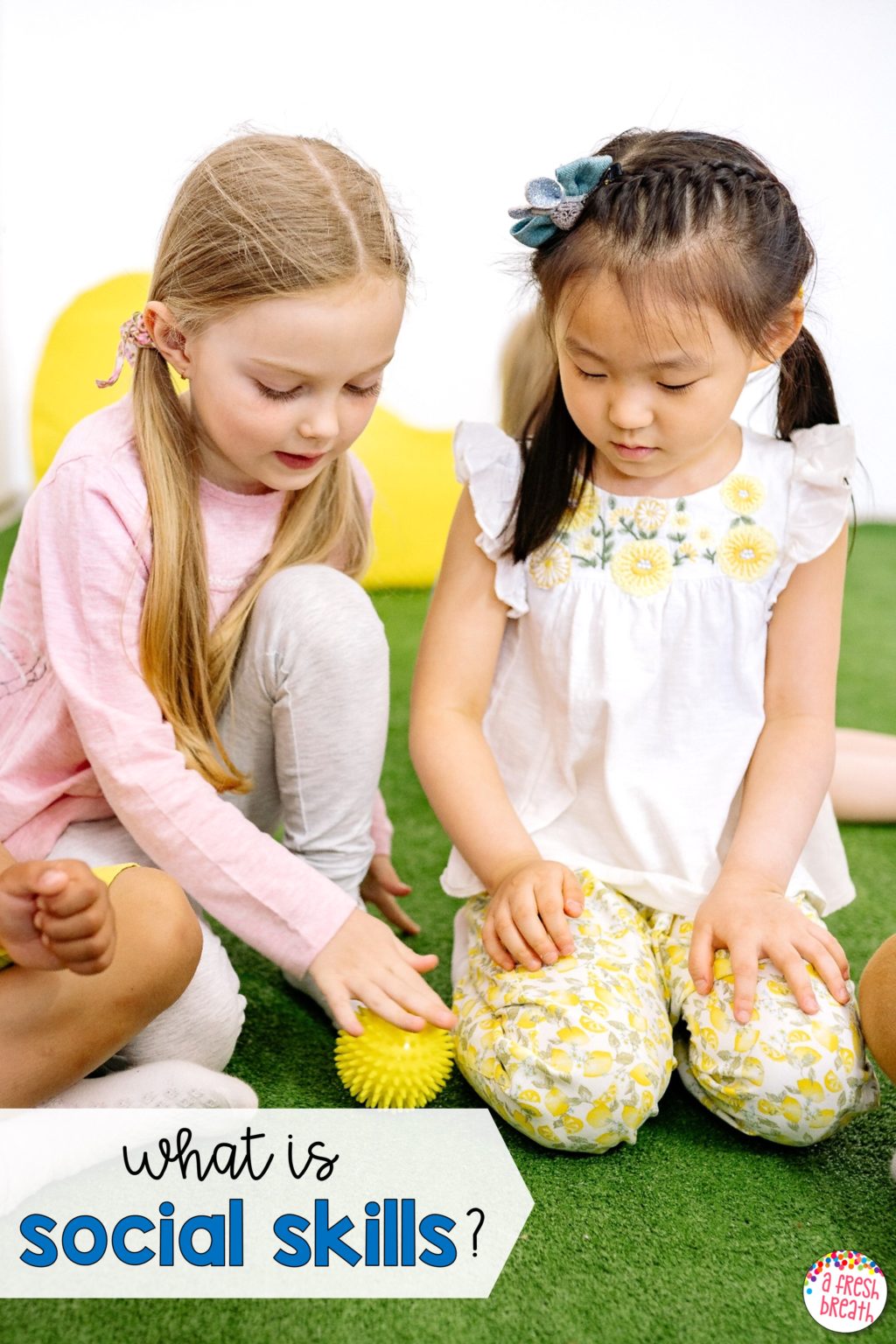 What Social Skills are Essential for Students? - A Fresh Breath on Teaching