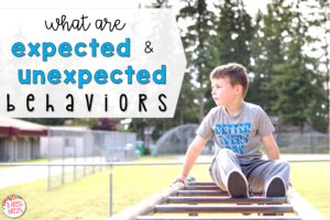 Expected Vs Unexpected Behavior in the Elementary Classroom - A Fresh ...